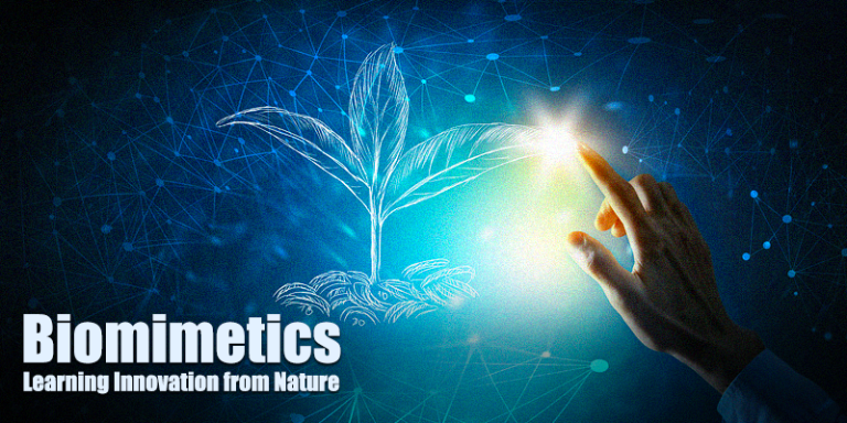 Biomimetics: Learning Innovation from Nature